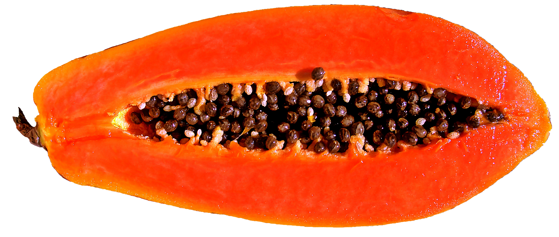 Papaya fruta tropical deliciosa ¡¡comida de ángeles!!
